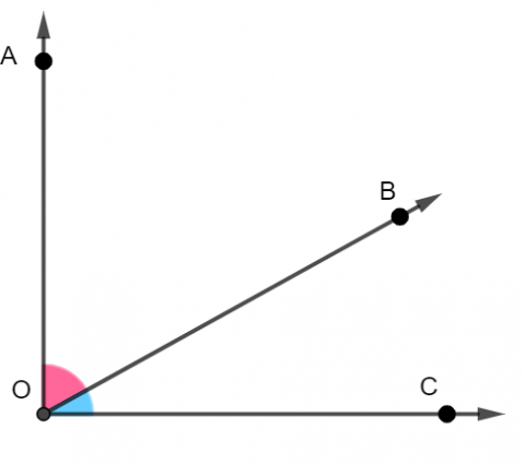 Adjacent Angles with Examples and FAQs - mydomain