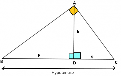 Altitude of a Triangle with Examples and FAQs - mydomain